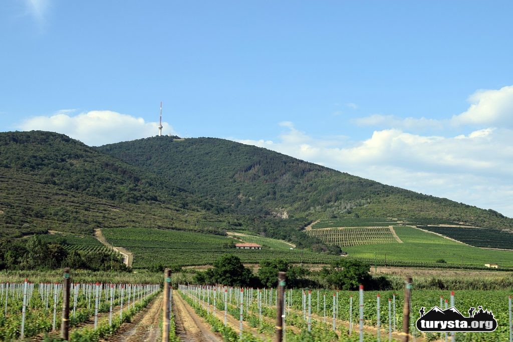 Tokaj (miasto na Węgrzech) - ciekawe miejsca - Turysta.org