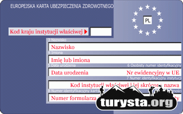 Jak szybko i sprawnie wyrobić kartę EKUZ? - Turysta.org