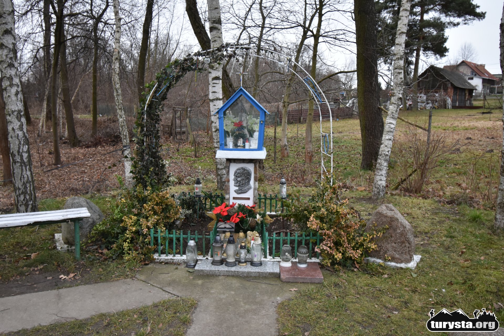 Las Lipie - miejsce rodzinnych spacerów Tarnowian - Turysta.org