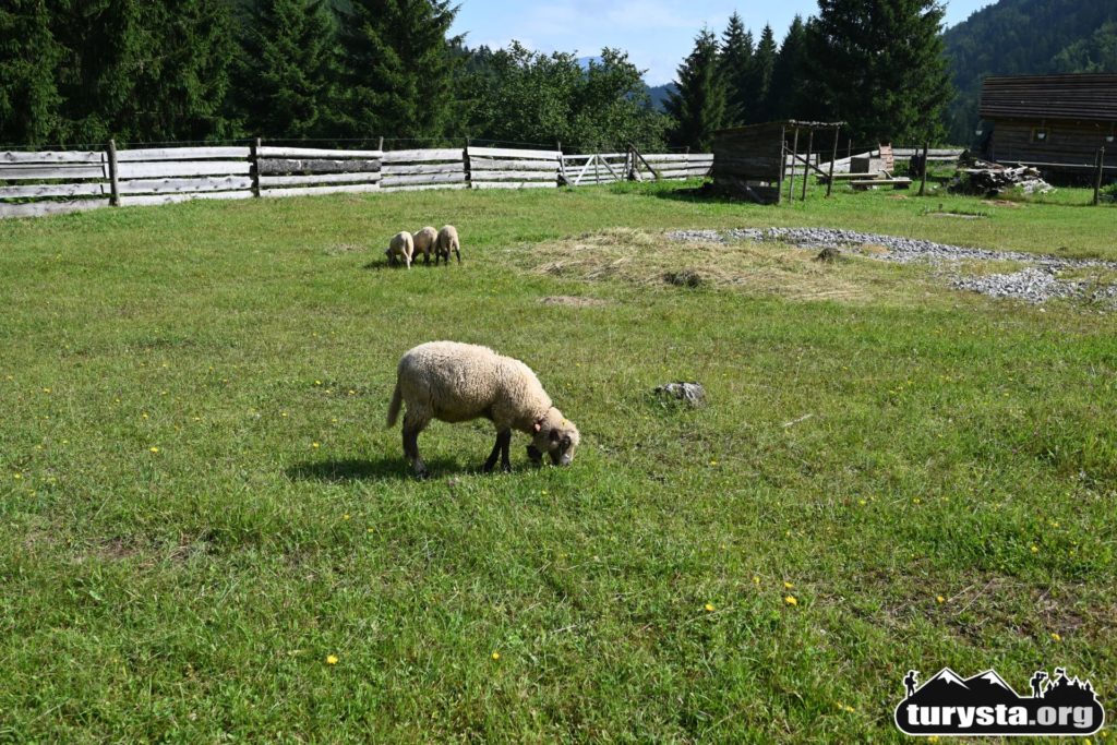 Mini Farma Sidorovo Ružomberok | Słowacja - atrakcja dla dzieci, nasze ...